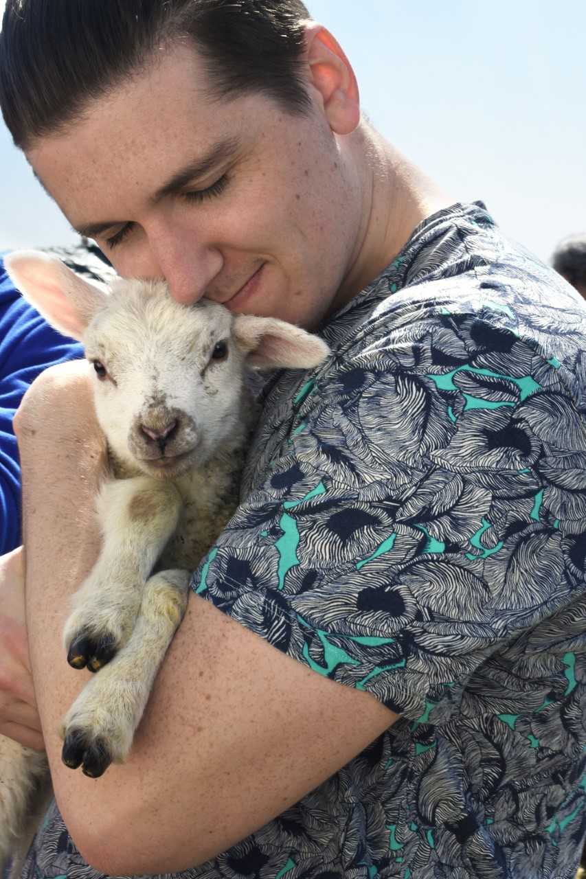 Animal rescue sanctuary thanks visitors for much-needed support - The ...