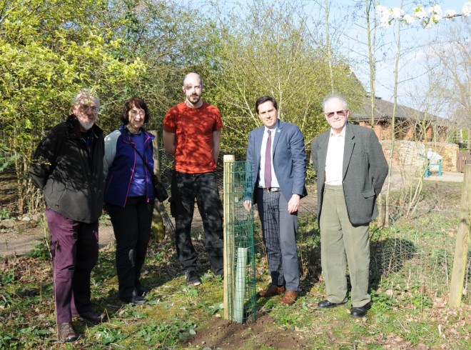 Historic Cubbington pear tree spreads its roots - The Leamington Observer