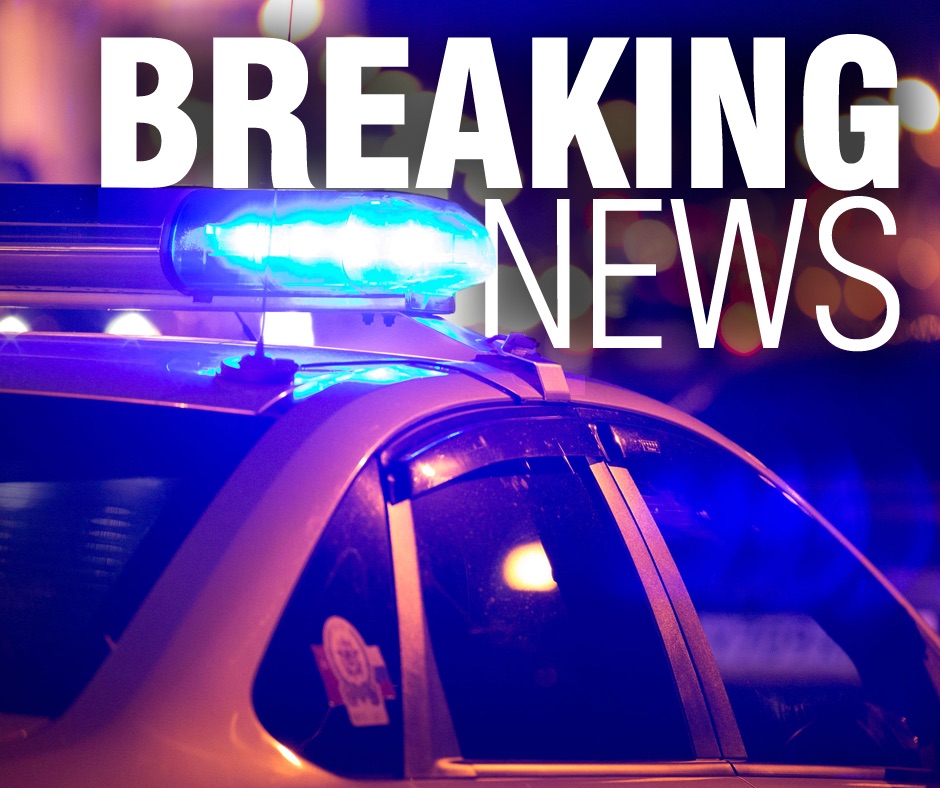 Murder investigation launched after body found in freezer - The ...