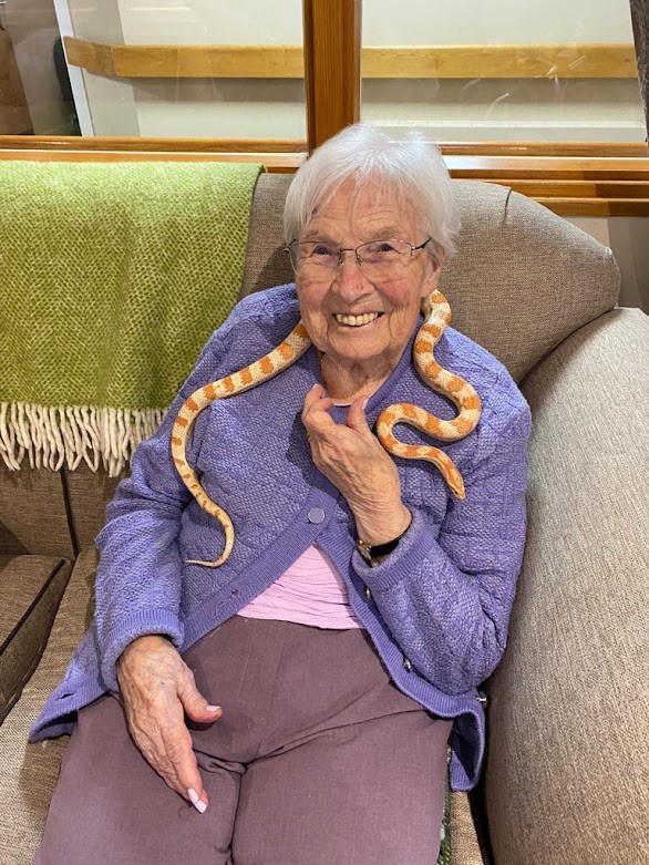 Leamington care home residents have a whale of a time - The Leamington ...