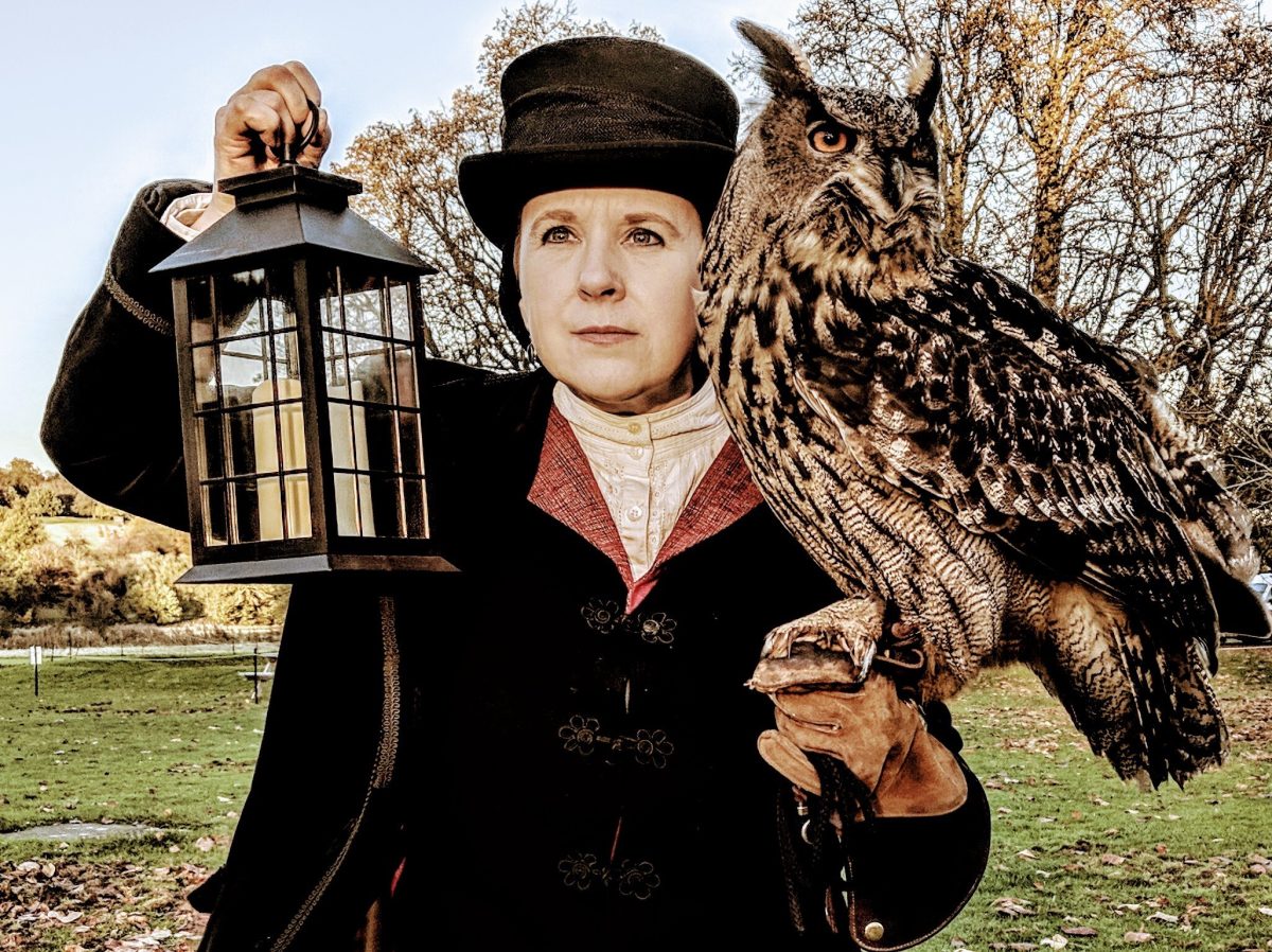 Falcons swoop back in time at Kenilworth Castle this weekend - The ...