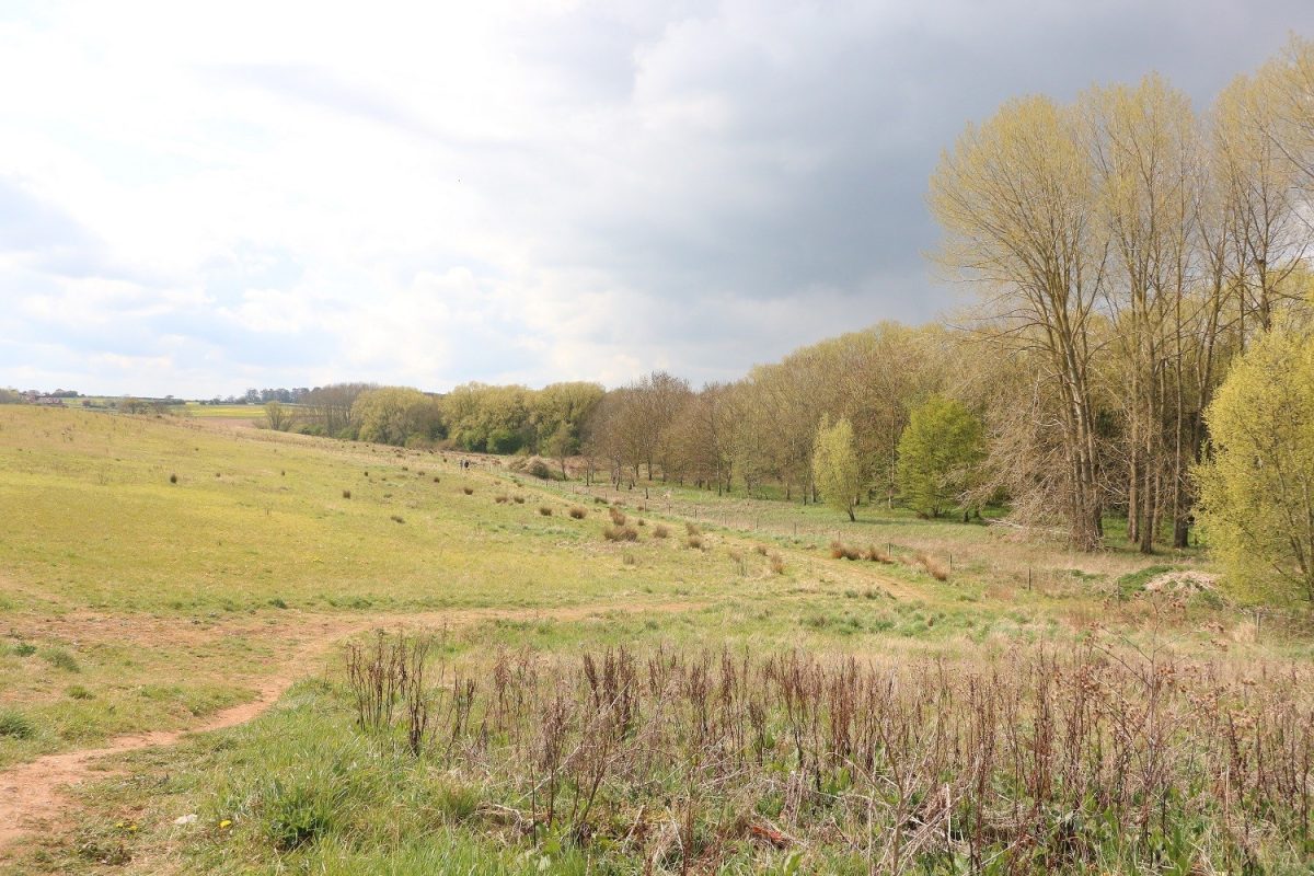 Significant milestone made in development of Tachbrook Country Park ...