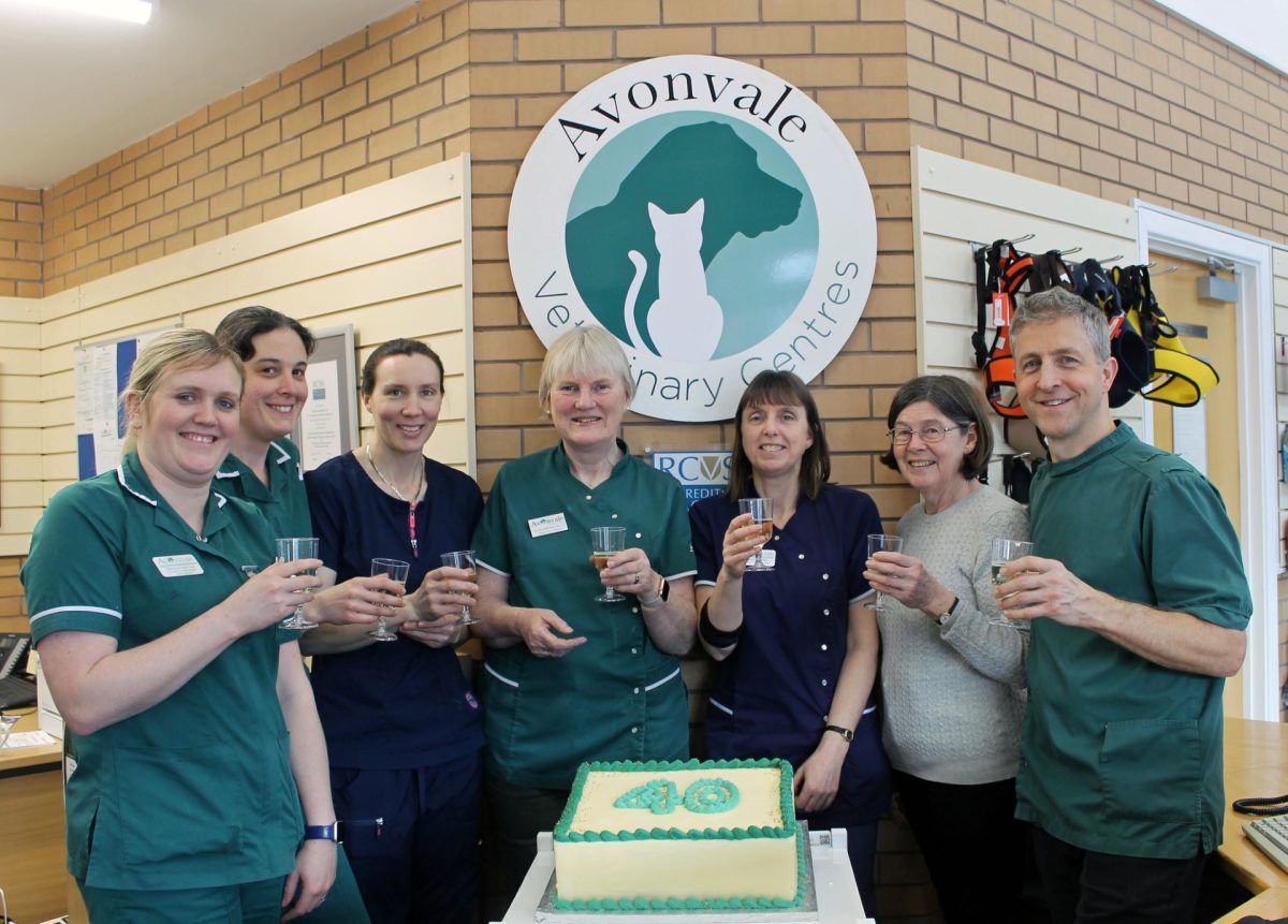 Vets celebrate 40 years caring for Warwickshire's animals - The ...