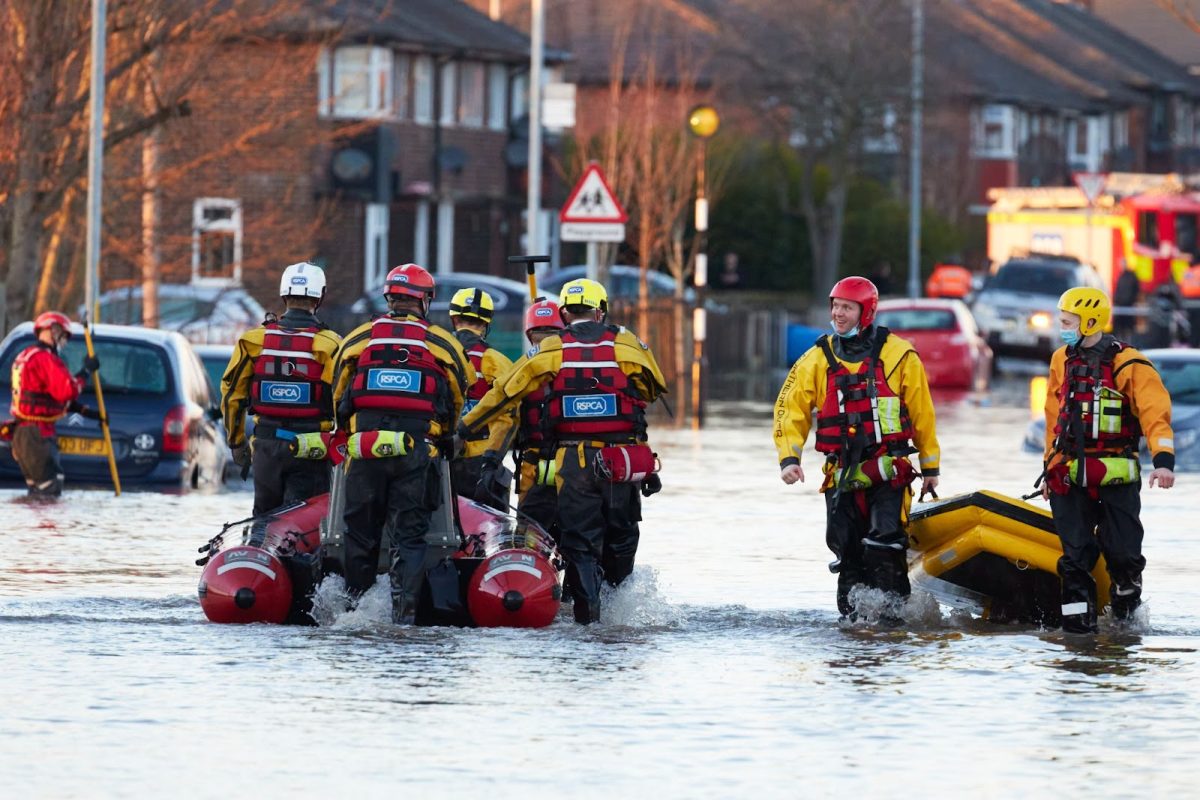 RSPCA issue advice to keep animals safe as Storm Éowyn hits - The ...