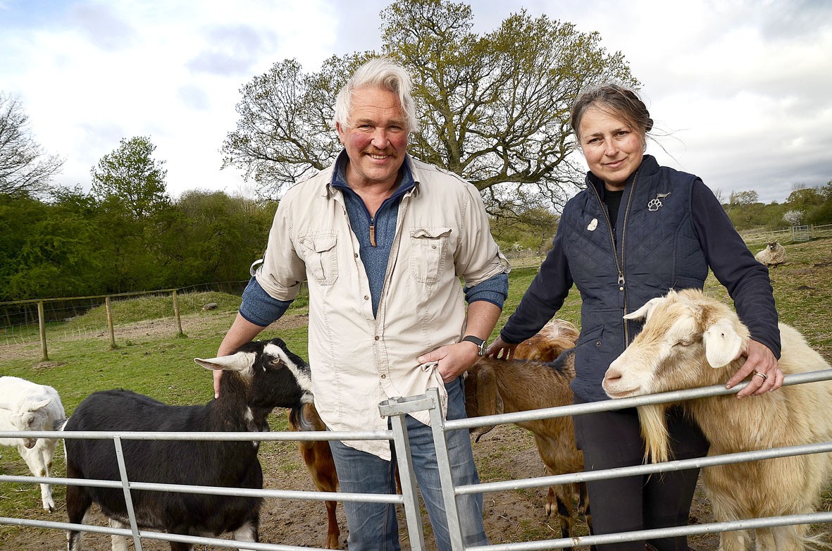 Hatton animal sanctuary celebrates £1,000 donation - The Leamington ...