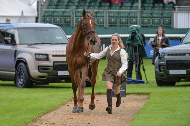 EQUESTRIAN - Leamington's Laura Collett relishing return to Defender ...