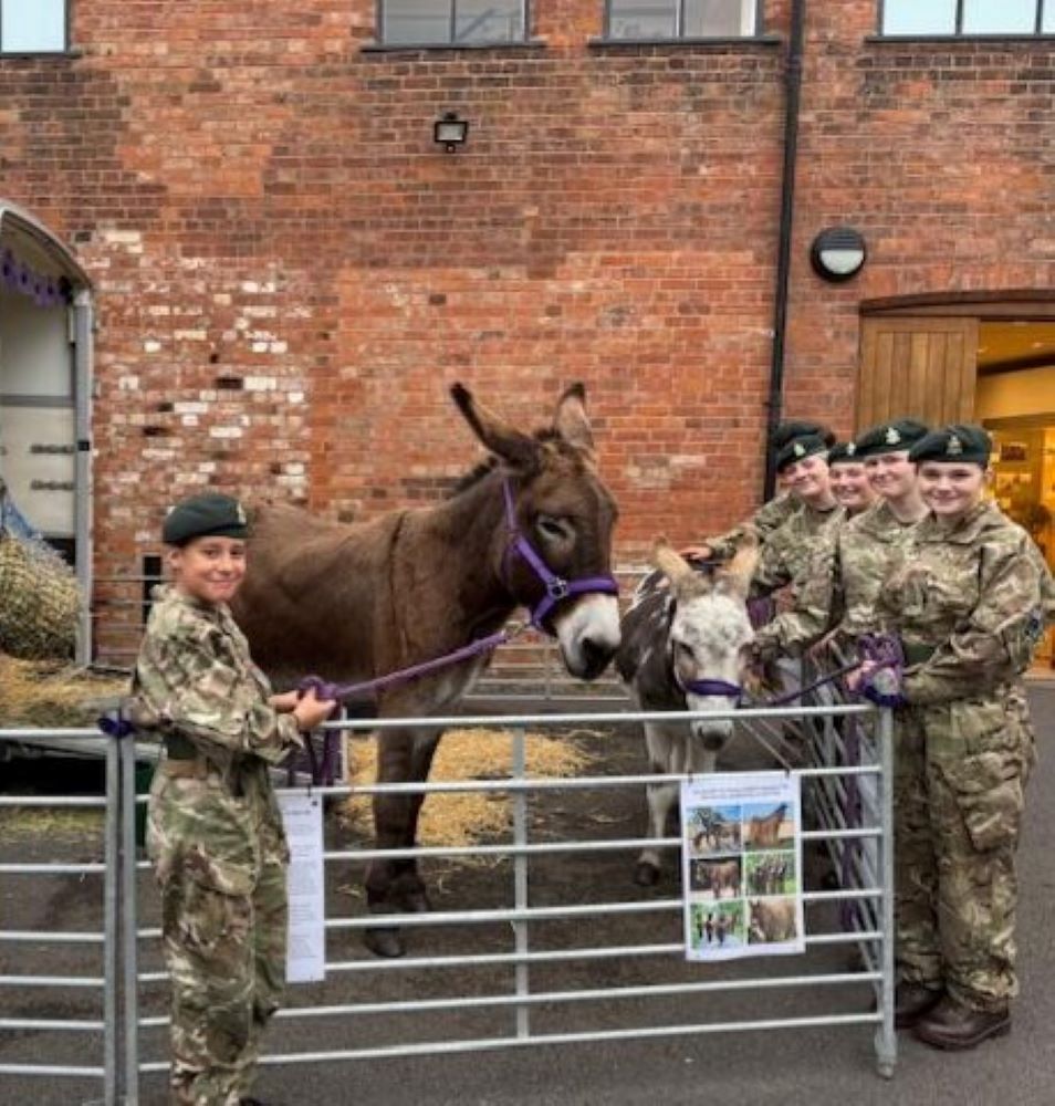 Real life donkeys in the limelight at war animals exhibition in Warwick ...