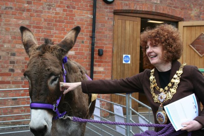 Real life donkeys in the limelight at war animals exhibition in Warwick ...